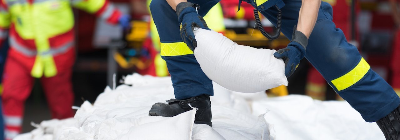 5 Best Sandbags - Aug. 2022 - BestReviews
