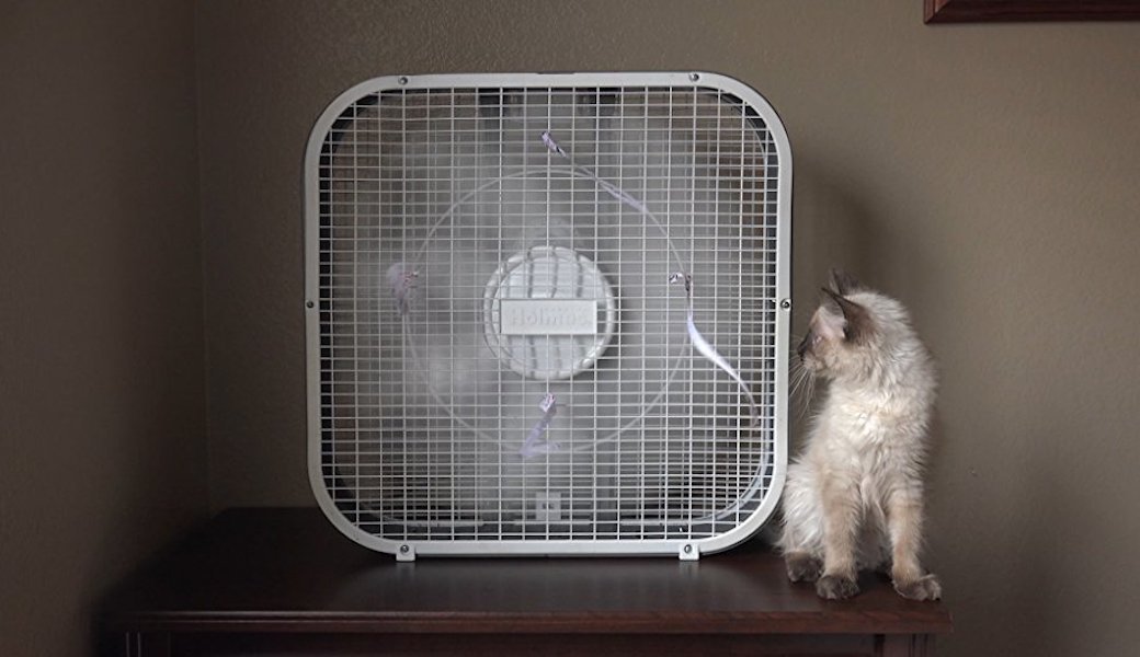 5 Best Box Fans - Dec. 2020 - BestReviews